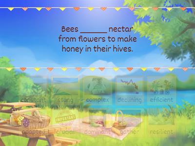 Bees - Teaching resources