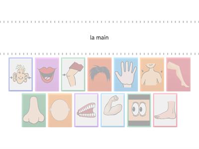 French Les parties du corps - Teaching resources