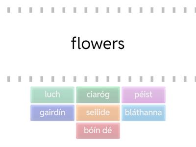 Sa bhaile seomrai - Teaching resources