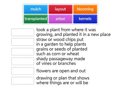 Module 3 week 2 vocab - Teaching resources
