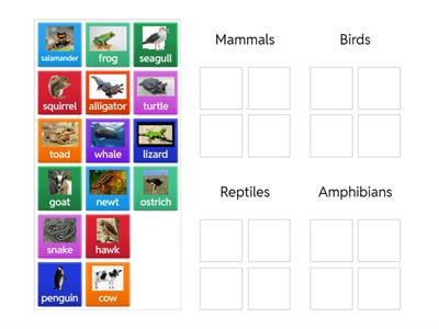 Mammals reptiles - Teaching resources