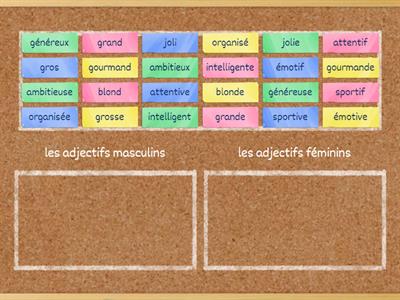 Adjectifs masculin et féminin - Ressources pédagogiques