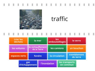 Environnement - Teaching resources