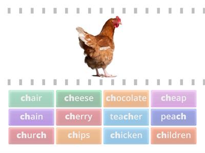 Ch ck - Teaching resources