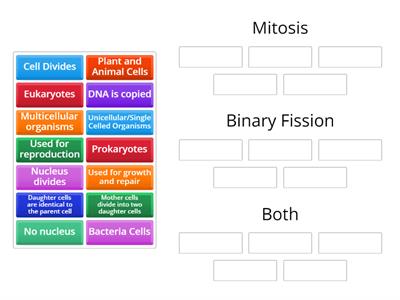 Binary - Teaching resources