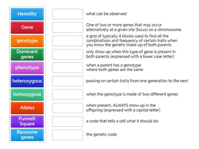 Punnett squares - Teaching resources