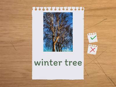 Sky - Teaching resources