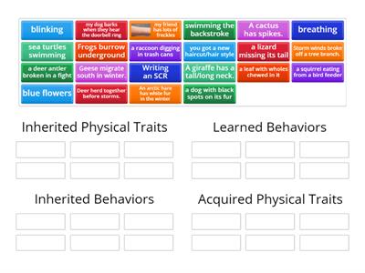 Adaptations - Teaching resources