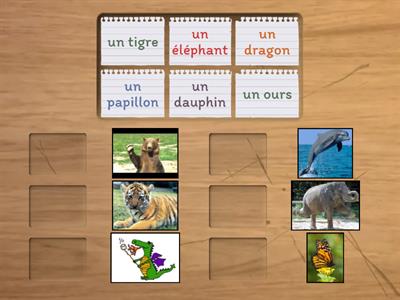 Animaux - Recursos didácticos