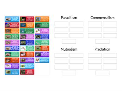Relationships - Teaching resources