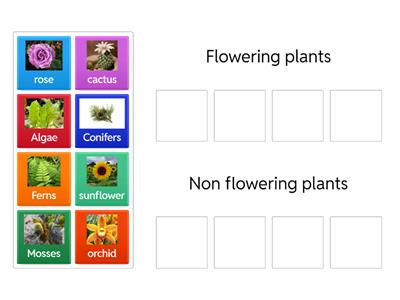 Flowering and non flowering - Recursos didácticos