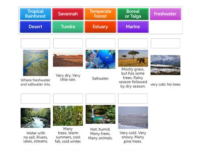 Biomes - Teaching resources