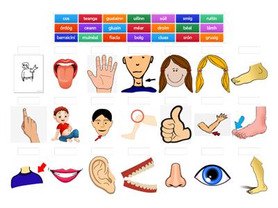 Irish Mé féin - Teaching resources