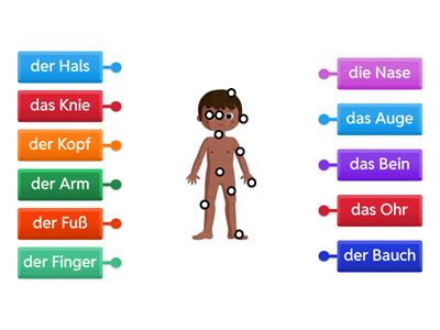 Körperteile - Unterrichtsmaterialien