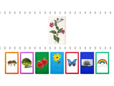 Memory primavera - Recursos didácticos