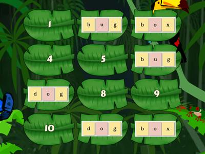 Jungle - Teaching resources