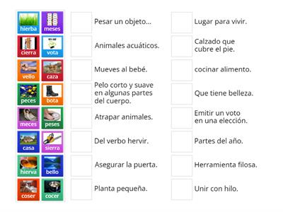 Juego De palabras homófonas - Recursos didácticos