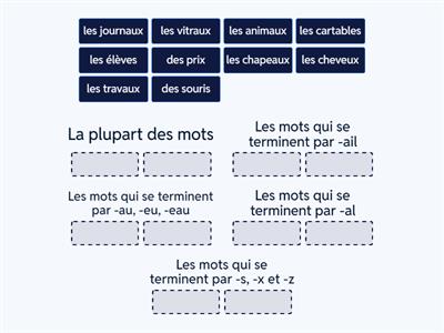 Français Pluriel des noms - Ressources pédagogiques