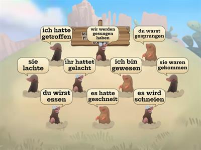 Plusquamperfekt - Unterrichtsmaterialien