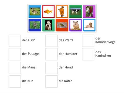 Tiere memory - Unterrichtsmaterialien