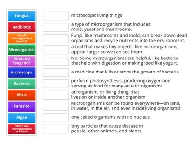 Microorganisms - Teaching resources