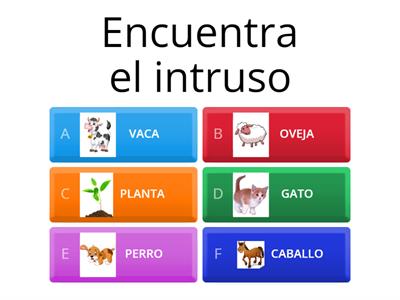 El intruso - Recursos didácticos