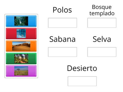 Ecosistemas terrestres - Recursos didácticos