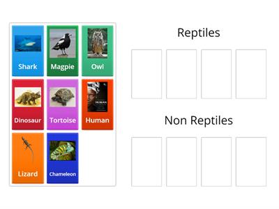Reptiles - Teaching resources