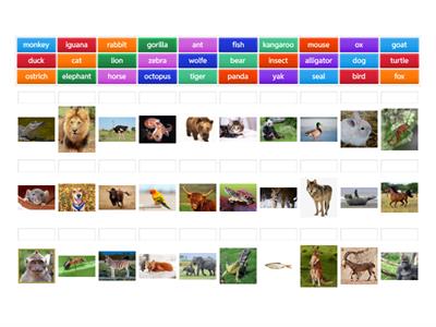 Zoo - Teaching resources