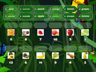 Fruit - Recursos didácticos