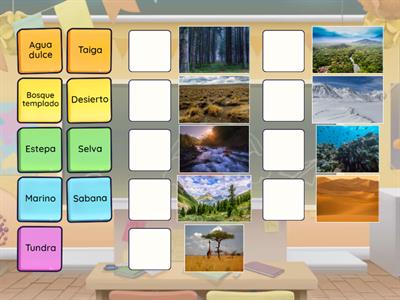 Biomas - Recursos didácticos