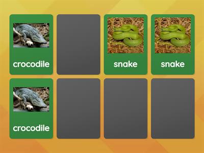 Reptiles and amphibians - Teaching resources