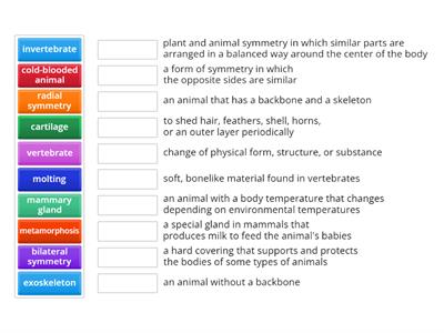 Vertebrates - Teaching resources
