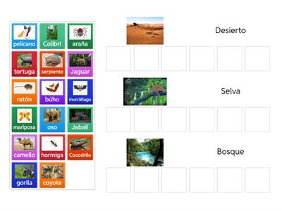 Selva desierto bosque - Recursos didácticos