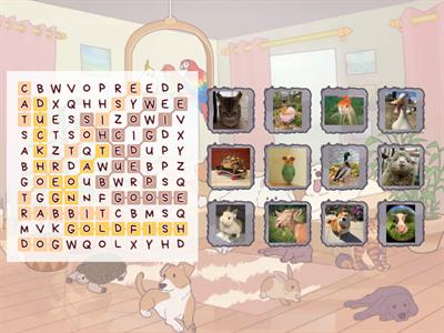 Pet - Teaching resources