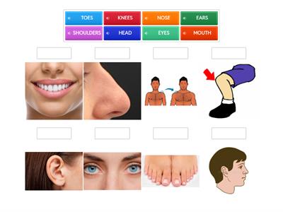 Head shoulder knees and toes - Teaching resources