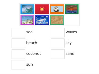 Beach - Teaching resources