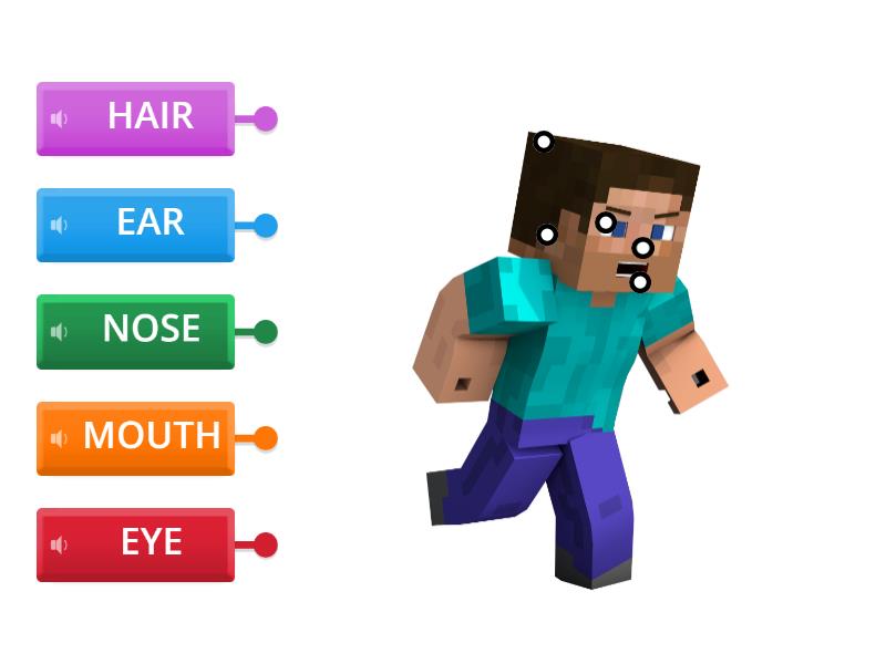 BODY PARTS (Minecraft) - Labelled diagram