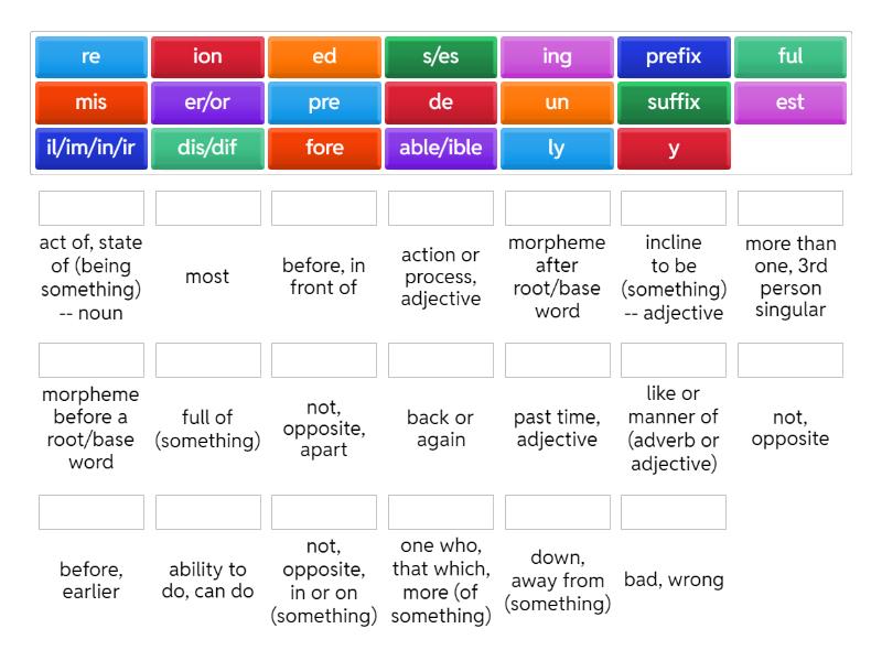 Morphology February 2025 - Match up