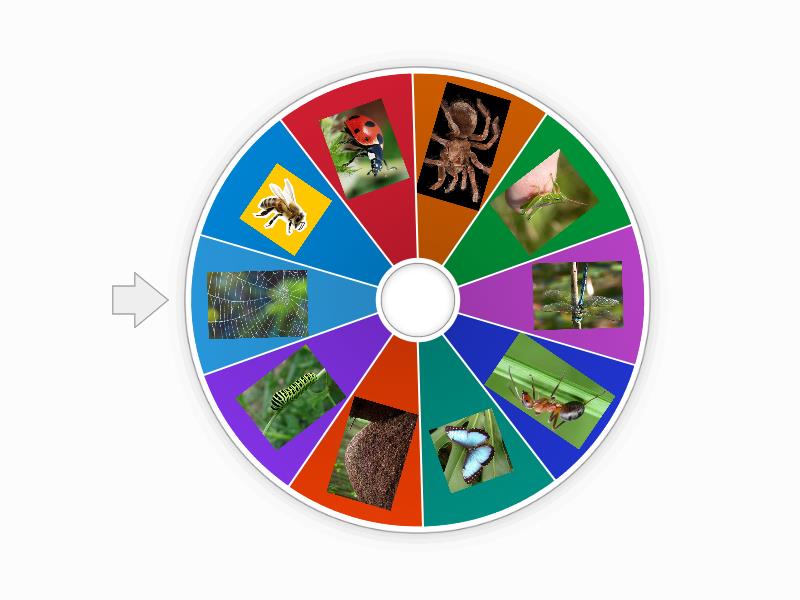 Bugs - Spin the wheel