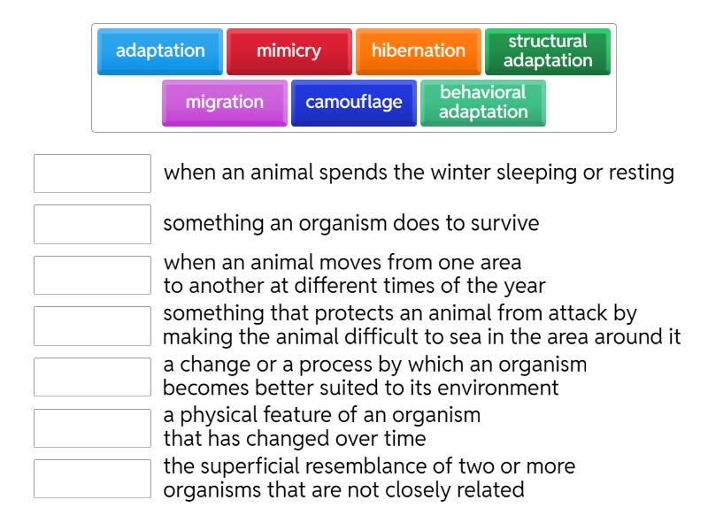 Animal Adaptations_Vocabulary Practice - Match up