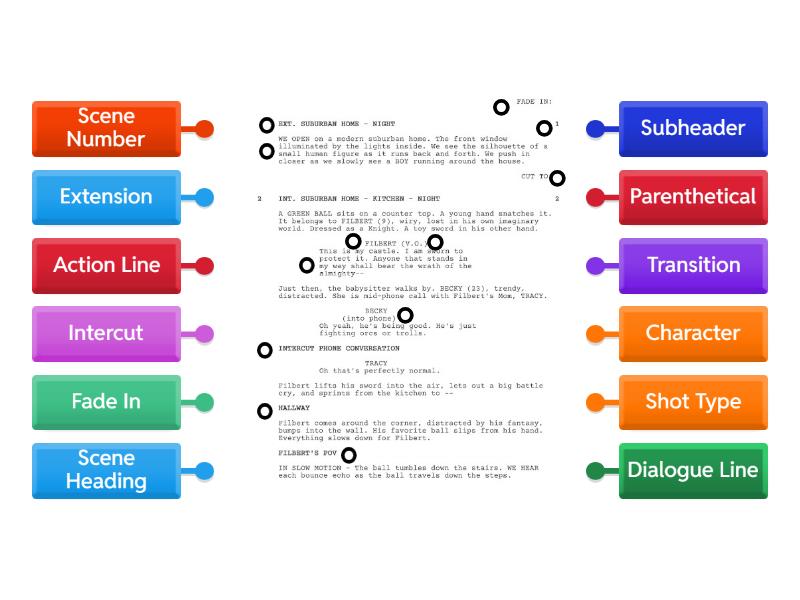 Script - Labelled diagram