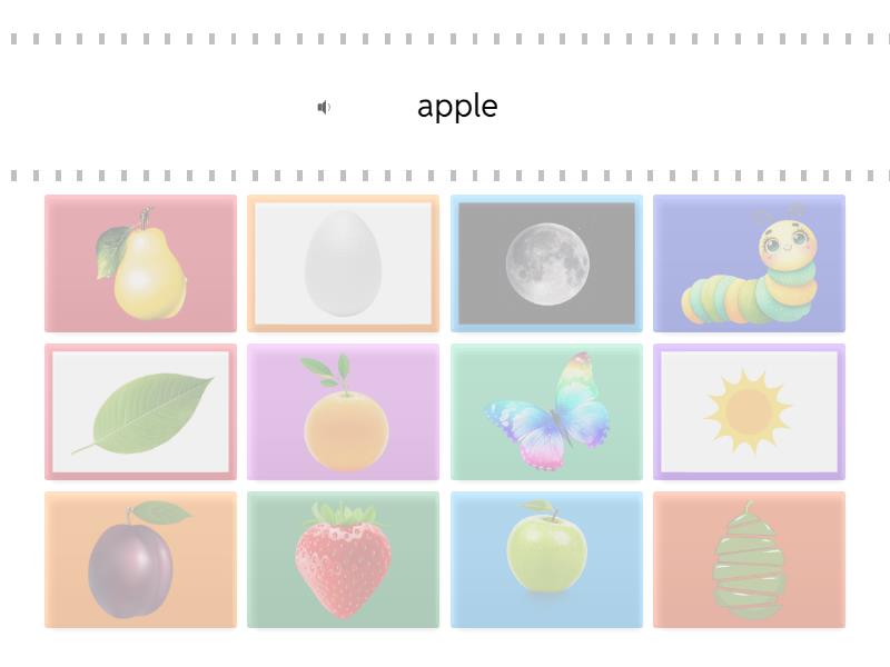 The very hungry caterpillar (quiz) - Сәйкестікті табу