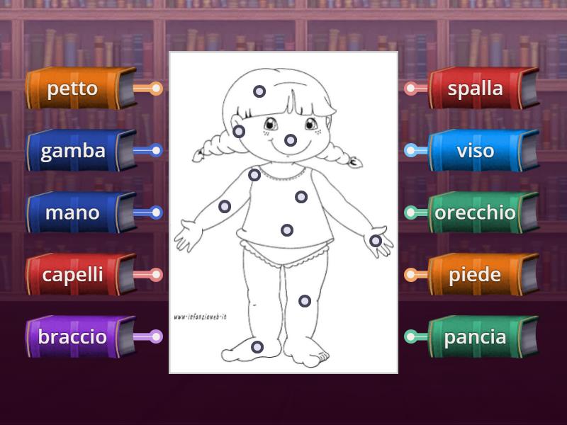 Le parti del corpo - Diagrama con etiquetas