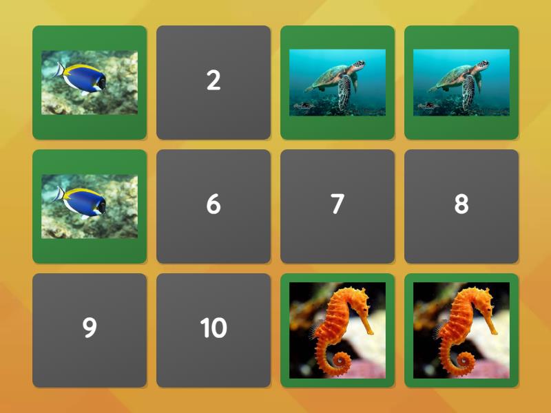 SEA ANIMALS MEMORY GAME - Matching pairs