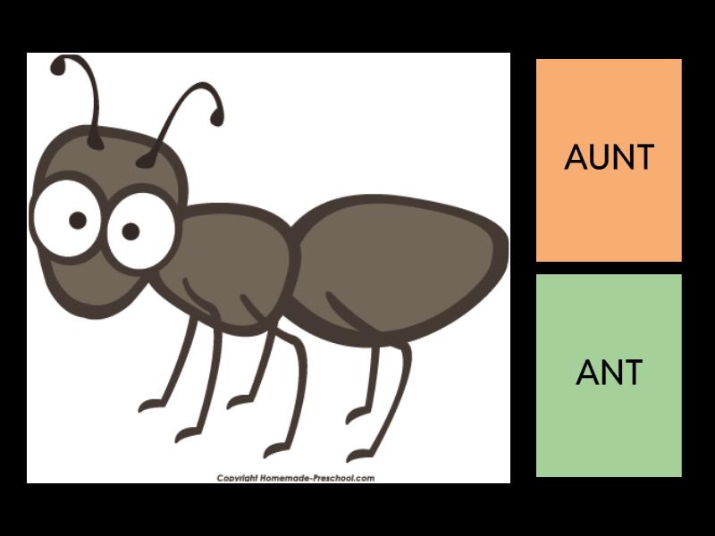 HOMOPHONES REVIEW - Quiz