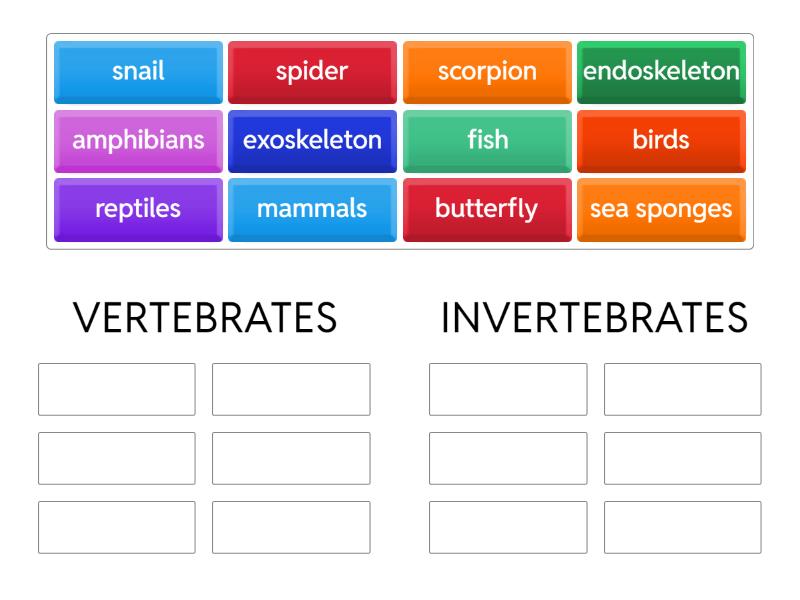 VERTEBRATES AND INVERTEBRATES - Group sort