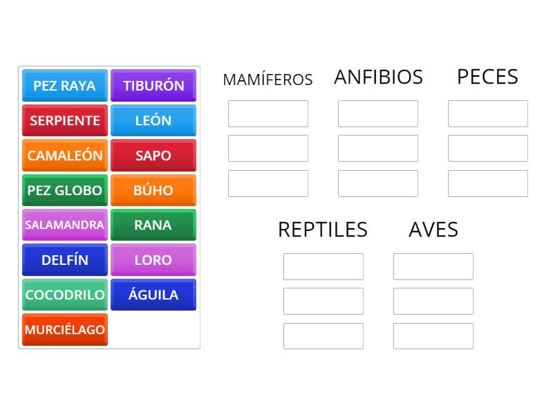 CLASIFICACIÓN DE LOS ANIMALES - Group sort