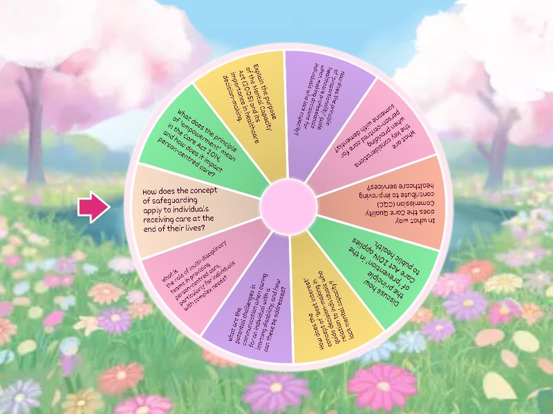 A8 Revision Wheel - Spin the wheel