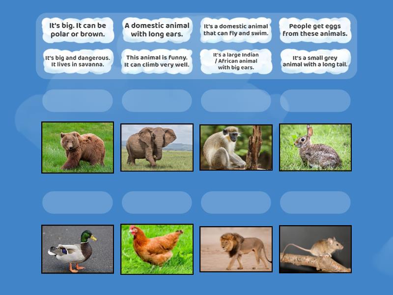 Animals. Prepare 6. Unit 16 - Match up